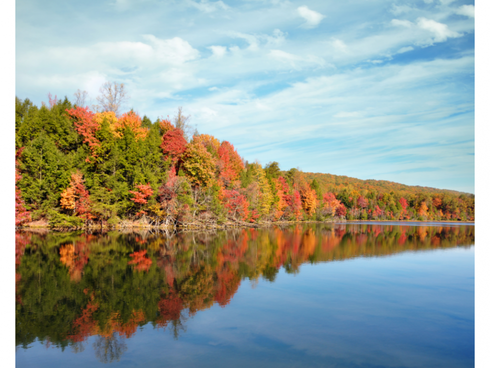 East Tennessee's Fall Foliage - We help visitors and locals discover ...