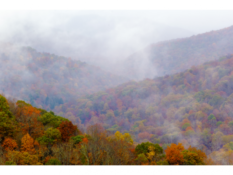 East Tennessee's Fall Foliage - We help visitors and locals discover ...